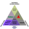 The Value Triangle , A Key Notion in MEDDIC - MEDDPICC Sales